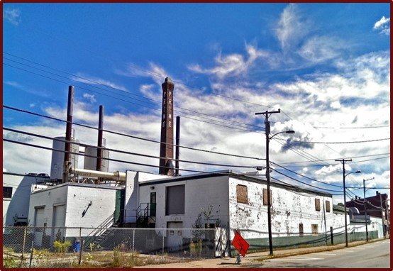 Prime Tanning | EnviroVantage